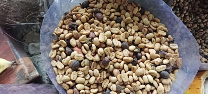 Higuey discovery, coffee and cocoa tasting from punta cana - A Full Day of Culture, Nature, and Flavour: Higuey Discovery from Punta Cana