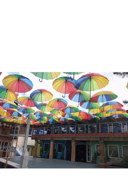 Higuey discovery, coffee and cocoa tasting from punta cana - The Itinerary Breakdown: What This Tour Offers