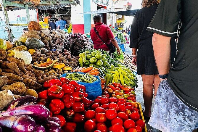 Higuey expedition cultural and historical tour from Punta Cana - Who Should Consider This Tour?