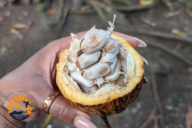 Higuey expedition cultural and historical tour from Punta Cana - The Sum Up