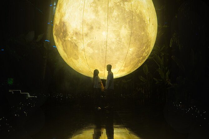 Hikaria: Bali's First Immersive Night Walk - Is Hikaria Worth Your Time?