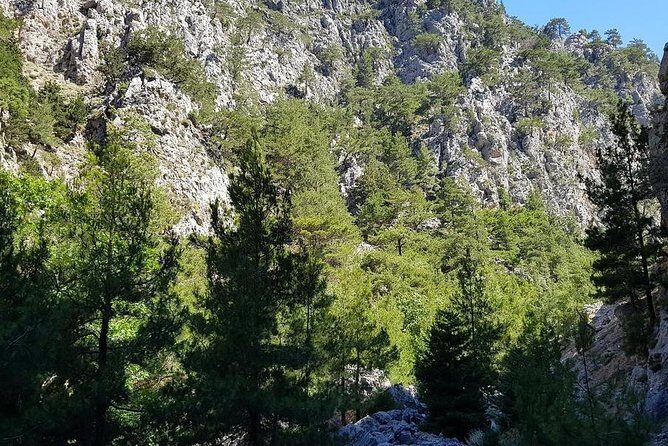 Hike Agia Irini Gorge Private Tour (price per group of 6) - Key Points