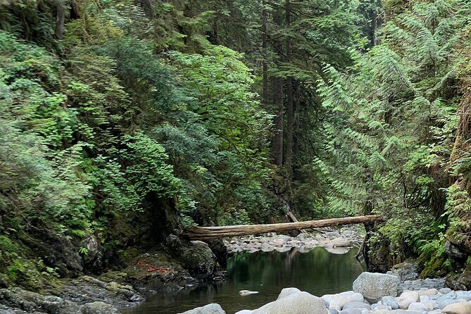 Hike and Bike the Vancouver Forests - Is the Price Worth It?