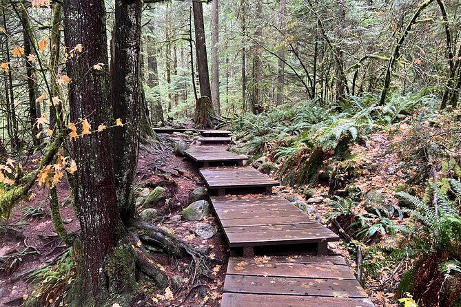 Hike and Bike the Vancouver Forests - Accessibility and Practical Tips