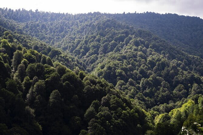 Hike and Climb Private Tour of Bukit Takun - The Journey Begins: Convenience and Comfort