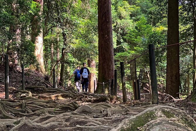 Hike and explore the Kurama and Kibune ancient Paths - What Travelers Say