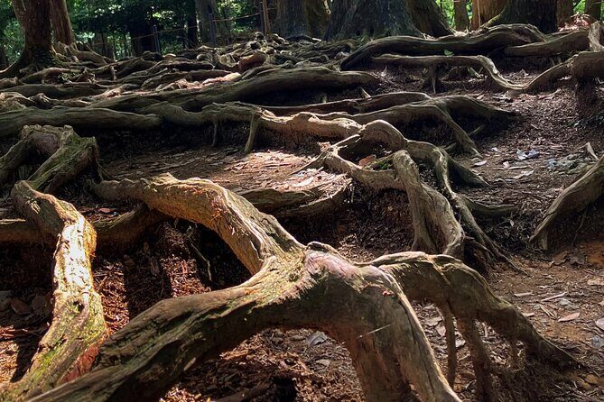 Hike and explore the Kurama and Kibune ancient Paths - The Sum Up