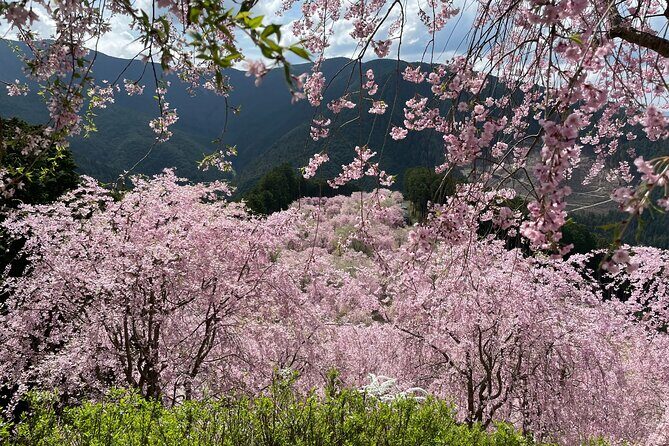 Hike and Stay in Exclusive Mountain Escape - Who Will Love This Tour?