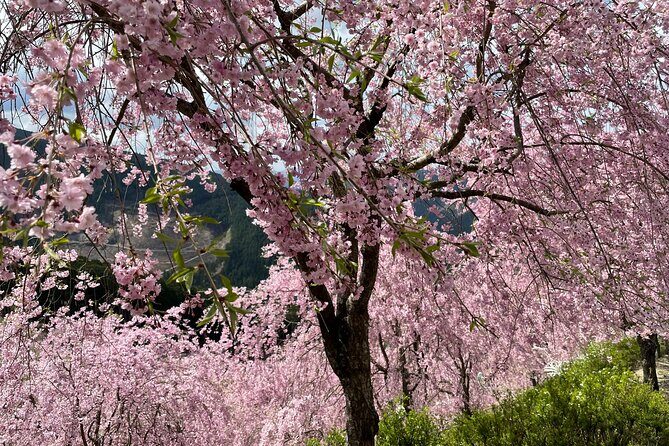 Hike and Stay in Exclusive Mountain Escape - FAQ