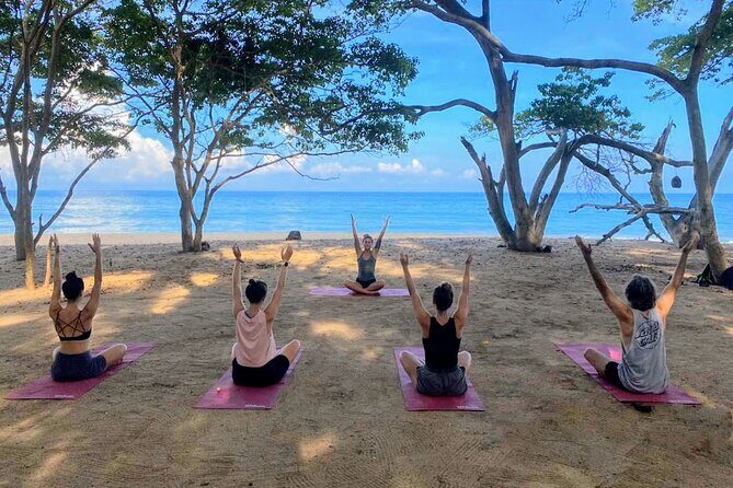 Hike and Yoga Jungle Experience in Mexico - A Detailed Look at the Experience
