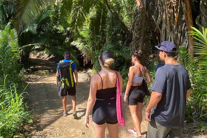 Hike and Yoga Jungle Experience in Mexico - A Real-World Look at the Tour