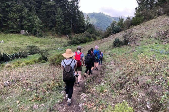 Hike el Camino Real, Latuvi  Lachatao - Authentic Experiences & Review Highlights