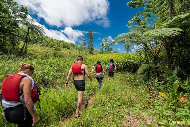 Hike El Yunque Rainforest and Kayak Bio Bay Combo Tour - Discovering the Wonders of El Yunque Rainforest