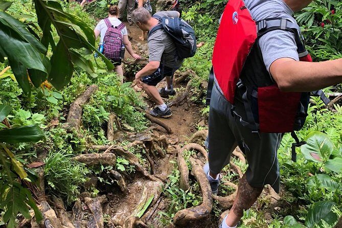 Hike El Yunque Rainforest and Kayak Bio Bay Combo Tour - The Value and Overall Impression