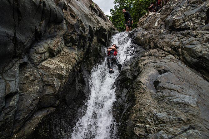 Hike El Yunque Rainforest and Kayak Bio Bay Combo Tour - Who Would Love This Tour?