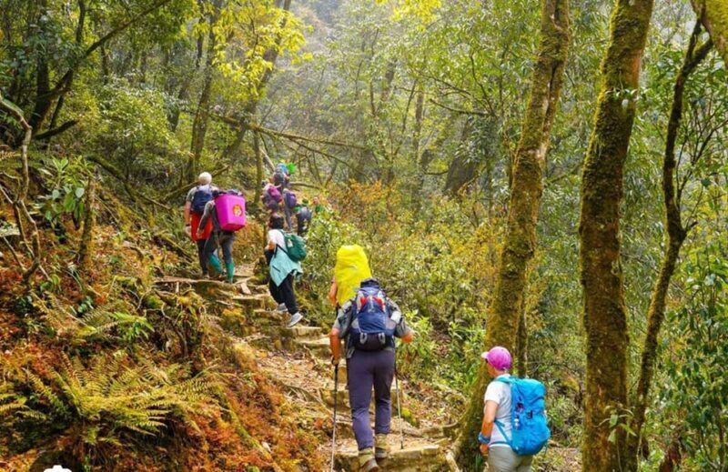 HIKE FANXIPAN MOUNTAIN TOUR 1DAY - The Allure of the Fansipan Experience
