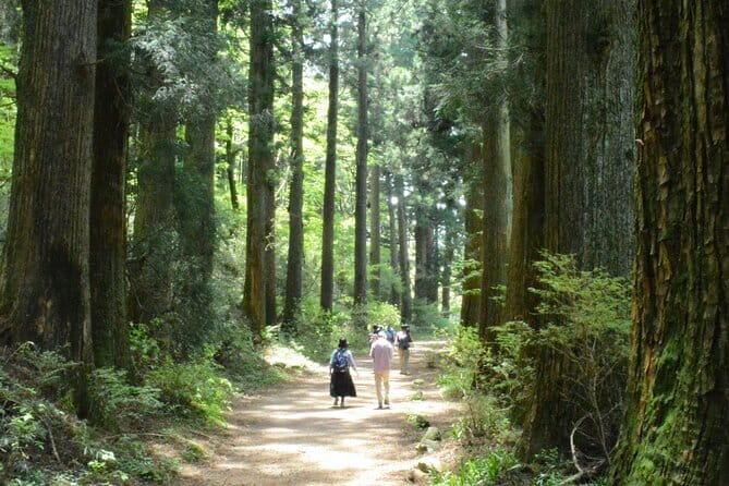 Hike Hakone Hachiri - Exploring Hakone Checkpoint and Castle Ruins