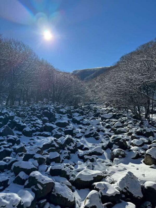 Hike Hallasan on Jeju Island, South Korea's highest mountain - Exploring Hallasan: The Journey and Its Highlights