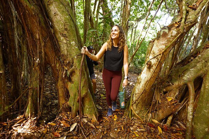 Hike Honolua Ridgeline - Key Points