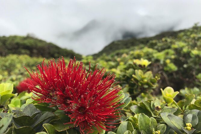 Hike Honolua Ridgeline - Final Thoughts