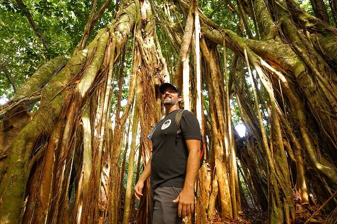 Hike Honolua Ridgeline - FAQ