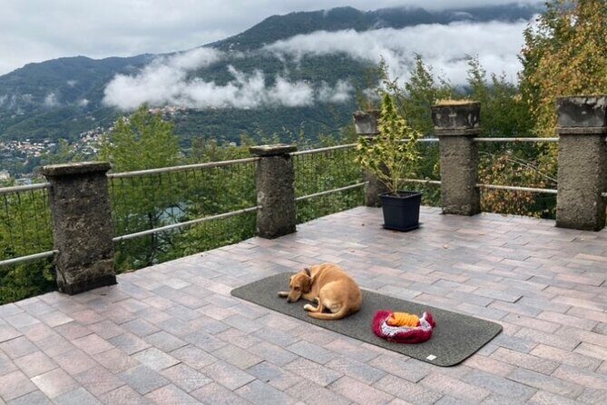 Hike in Blevios Forest for a Private Yoga Class - Who Is This Tour Best For?
