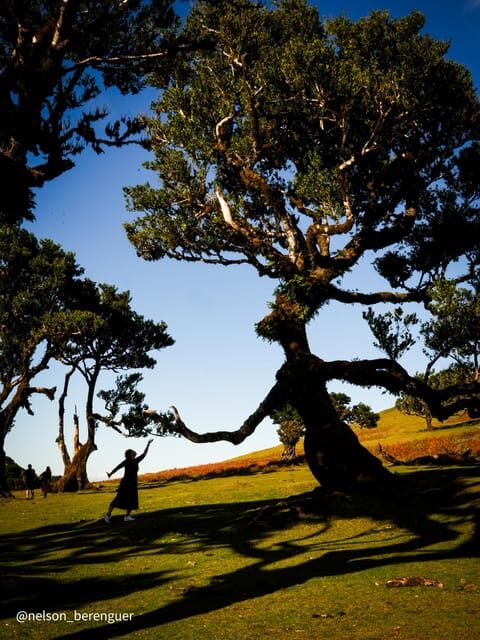 Hike in Fanal in a different way - Key Points