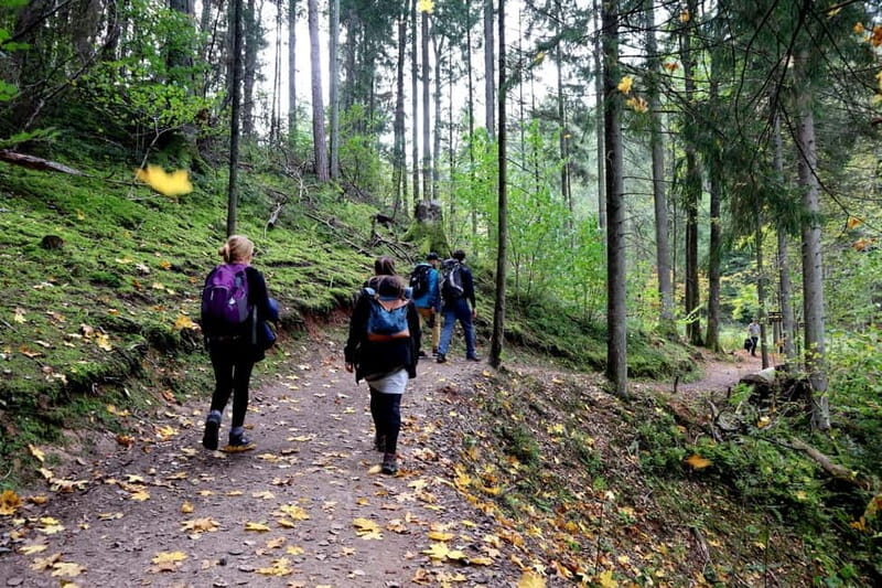Hike In Gauja National Park - Sigulda - Key Points
