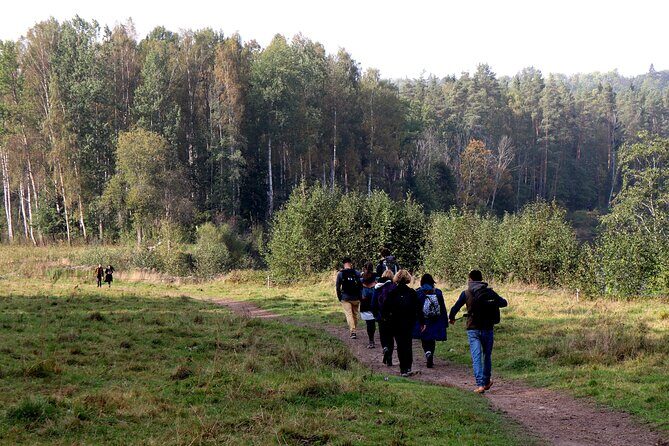 Hike In Gauja National Park - Up And Down The Switzerland Of Latvia - Transportation & Practical Considerations