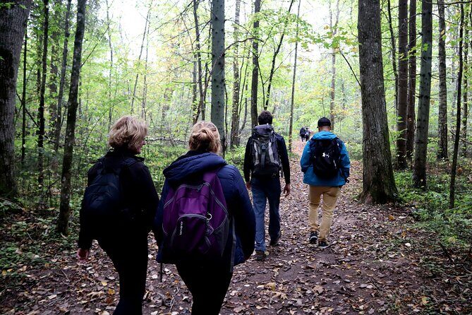 Hike In Gauja National Park - Up And Down The Switzerland Of Latvia - The Sum Up