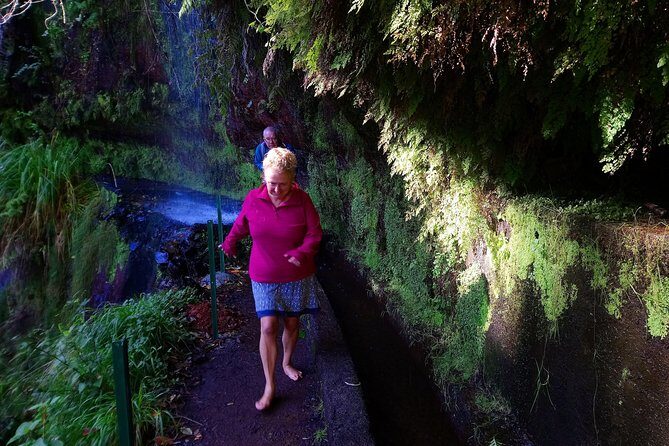 Hike in Laurisilva Levada do Rei - Madre of Life small Group guided walk - Key Points