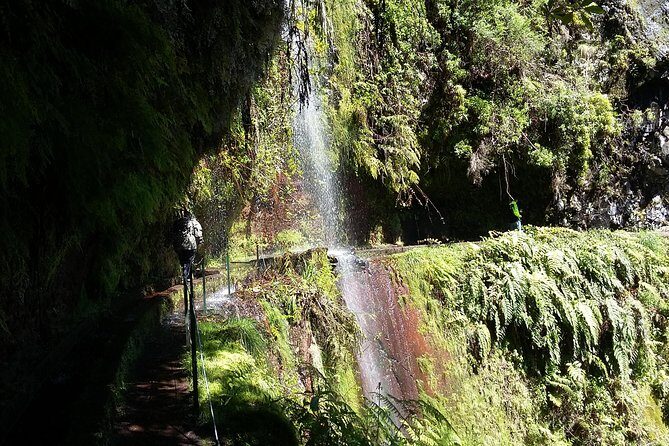 Hike in Laurisilva Levada do Rei - Madre of Life small Group guided walk - An Authentic Madeira Experience: Walking the Levada do Rei