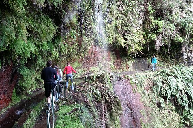 Hike in Laurisilva Levada do Rei - Madre of Life small Group guided walk - The Value of the Experience