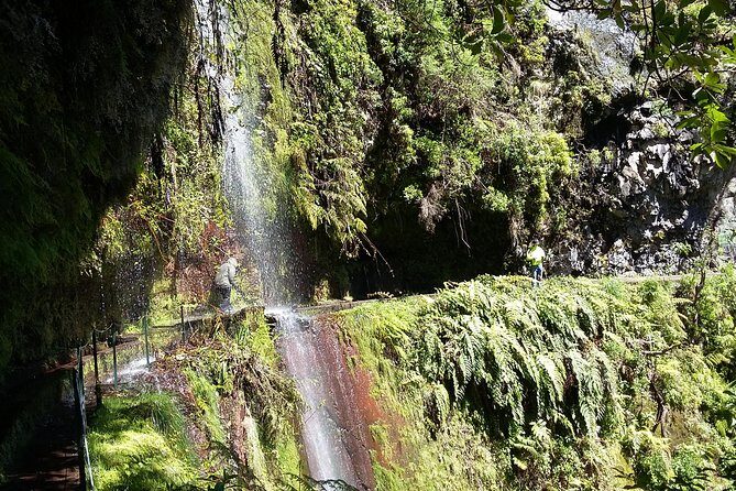 Hike in Laurisilva Levada do Rei - Madre of Life small Group guided walk - Who Will Love This Tour?