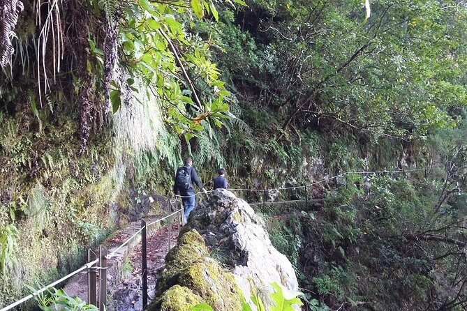 Hike in Laurisilva Levada do Rei - Madre of Life small Group guided walk - Frequently Asked Questions