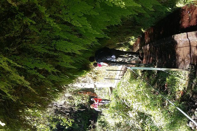 Hike in Laurisilva Levada do Rei - Madre of Life small Group guided walk - Final Thoughts