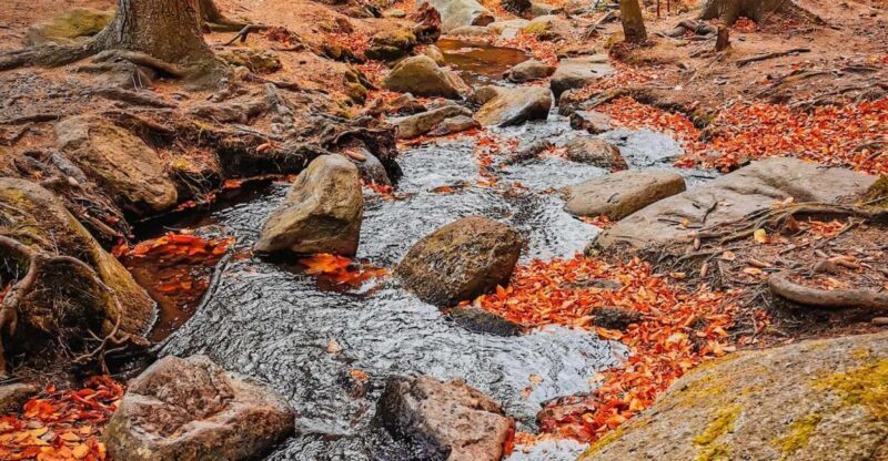 Hike in Polish Mountains: Day trip to Rudawy Janowickie - Insights from Visitors’ Reviews