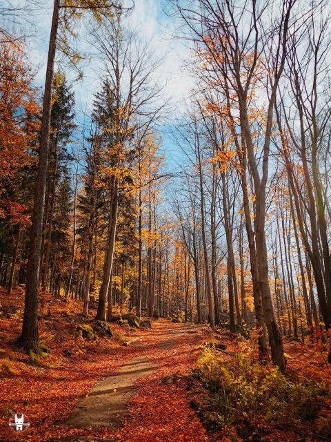 Hike in Polish Mountains: Day trip to Rudawy Janowickie - Who Will Love This Tour?