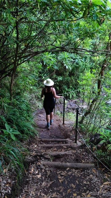 Hike in Rabaçal in a different way - What to Expect on the Tour