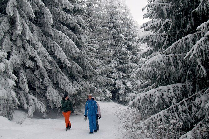 Hike in The Central Balkan National Park - FAQs