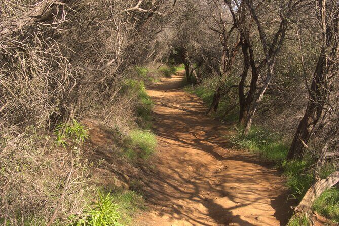 Hike in the Santa Monica Mountains - Who Should Consider This Tour?