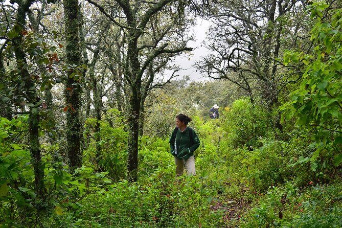 Hike in the Sierra de Santa Rosa - Final Thoughts: Who Should Consider This Tour?