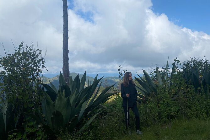 Hike in the Sierra Norte, Cuajimoloyas - What You Can Expect on This Trail