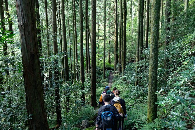Hike Japan Heritage Hakone Hachiri (Half Day) - Final Thoughts: Is This Tour Right for You?