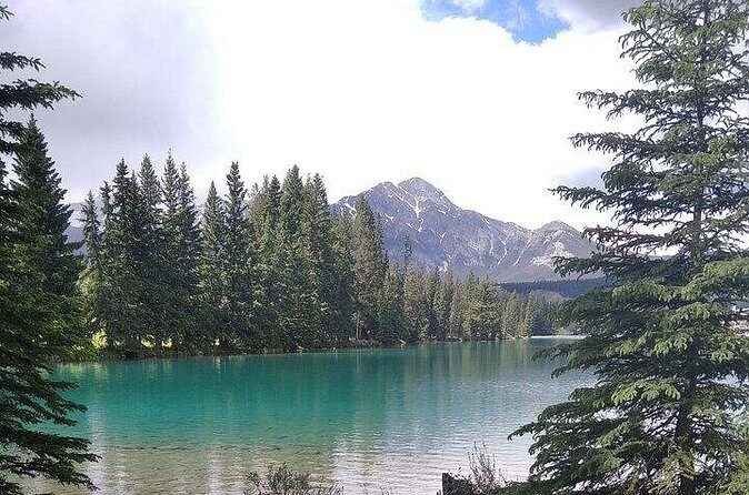 Hike Jasper with Your Personal Guide - What Reviewers Say (Based on Available Feedback)