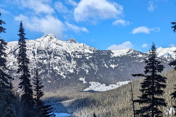 Hike Joffre Lake, Whistler & Shannon Falls Tour - FAQs