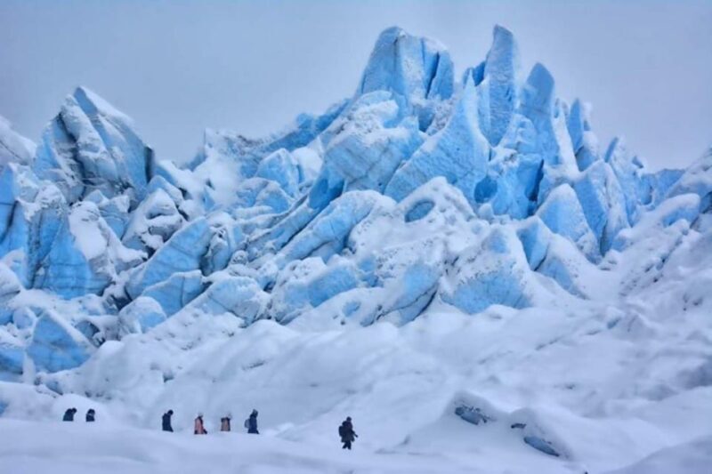 Hike Matanuska Glacier w/Alaska Honey, Wine Tasting - Analyzing the Cost and Value
