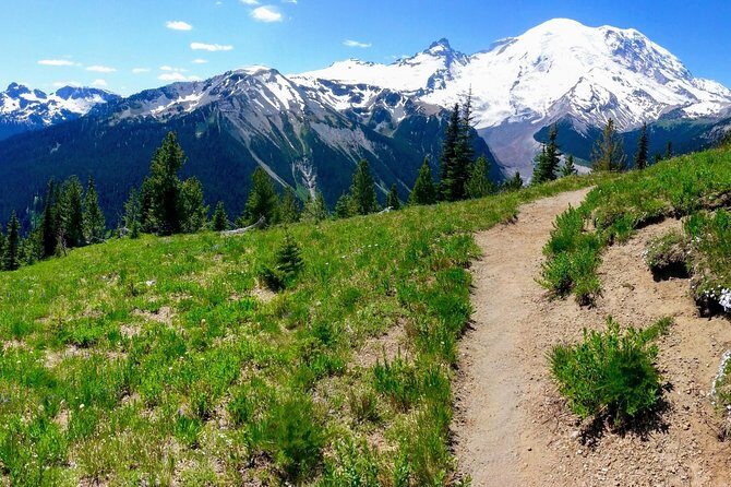Hike Mt. Rainier & Taste Yakima Valley Wine: All-Inclusive Day Tour from Seattle - What You Can Expect: A Complete Breakdown of a Full Day
