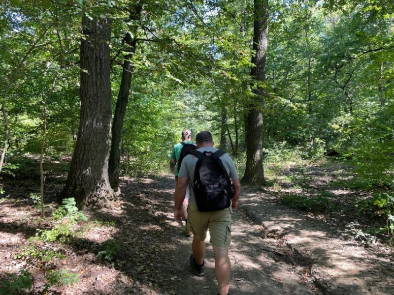 Hike, nature & picturesque view over Budapest - Setting Off for a Scenic Adventure
