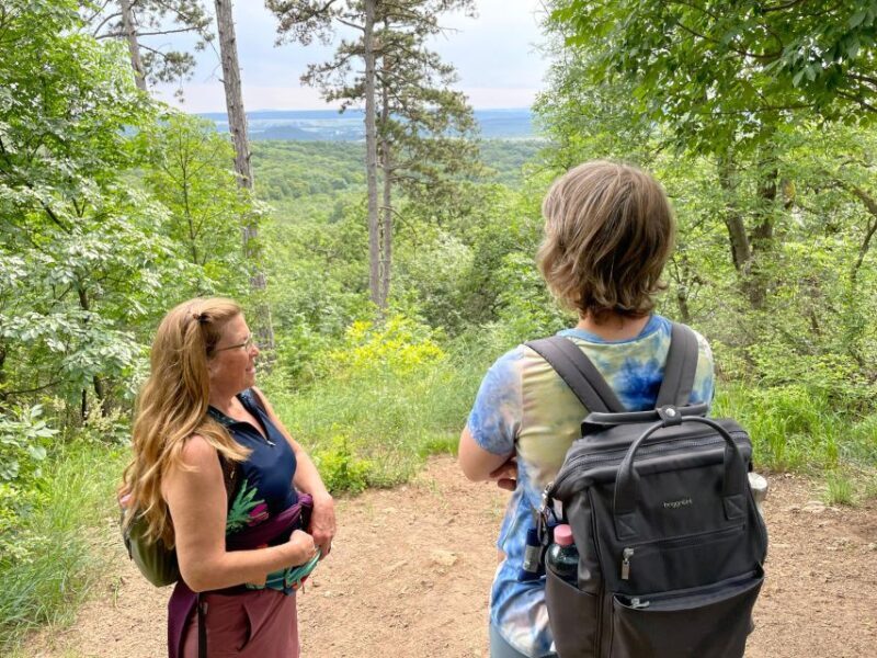 Hike, nature & picturesque view over Budapest - The Highlights: Buda Hills and Lookout Tower